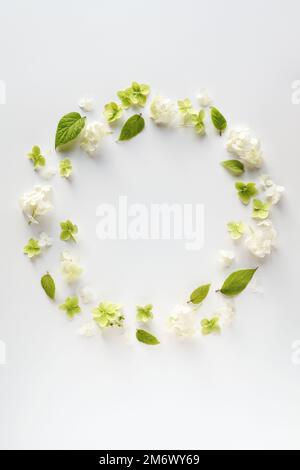 Pink chrysanthemums on white background close up Stock Photo - Alamy