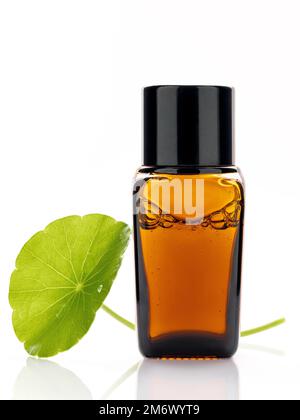 Close up centella asiatica extract in amber bottle with centella ...