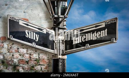 Street Sign the Direction Way to Intelligent versus Silly Stock Photo ...