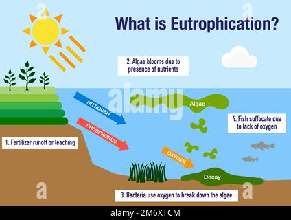 Eutrophication and Water Pollution illustration Stock Photo - Alamy