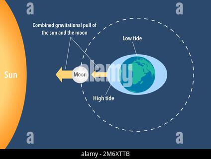How sea tides are caused by the gravitational pull of the moon and the ...