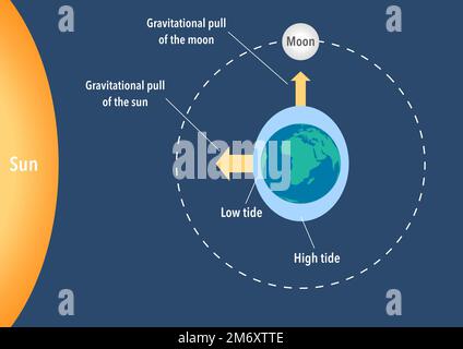 How sea tides are caused by the gravitational pull of the moon and the ...