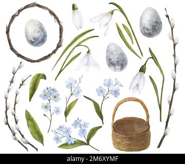 Watercolor forget-me-not flower clipart set isolated on white ...