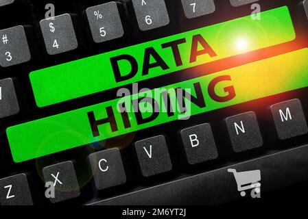 Text caption presenting Data Hiding, Word for Secretly embedding data ...