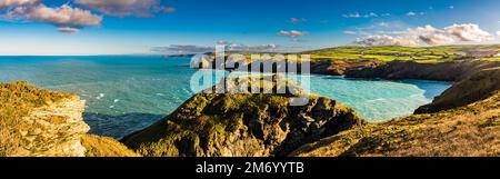 Early morning view over Tintagel Island from Glebe Cliff, Tintagel ...