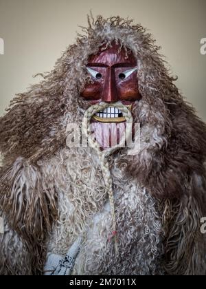 Buso portrait during the annual Buso festivities / Poklade from Mohacs ...