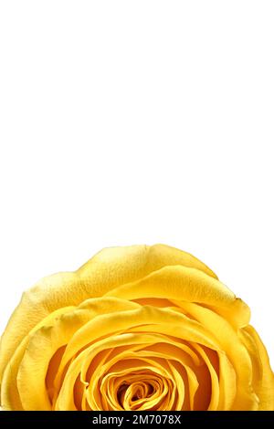 Valentine's Day. Flowers composition. Round frame made of rose flowers ...