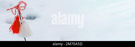 Snowdrops on the thawed patch in the spring. The first spring holiday ...