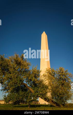 Washington Monument, an obelisk shaped monument within the National ...