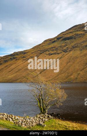 Loch na Leitreach on the Inverinate Estate, Scotland Stock Photo - Alamy