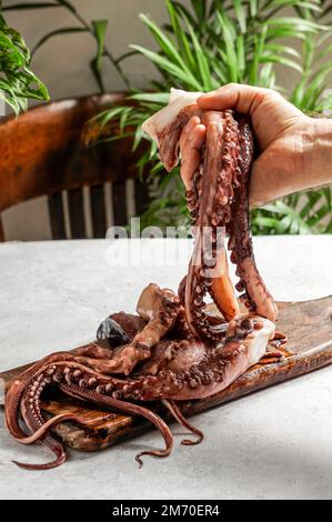 fresh octopus, holding male hands, direct sunlight Stock Photo - Alamy