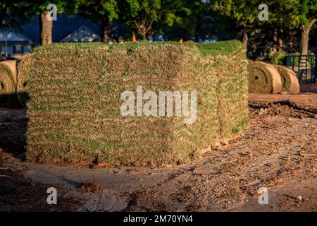 Fresh sod grass squares stacked on pallet ready for landscape ...