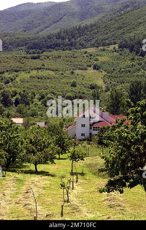 Prahova County, Romania, approx. 2000. Hay cut with a scythe drying out ...