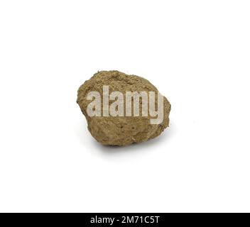a clod of earth isolated on white background Stock Photo - Alamy
