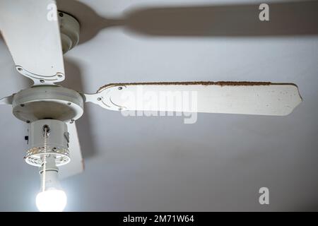 Dust on ceiling fan, Dust on the blades of a ceiling fan Stock Photo ...