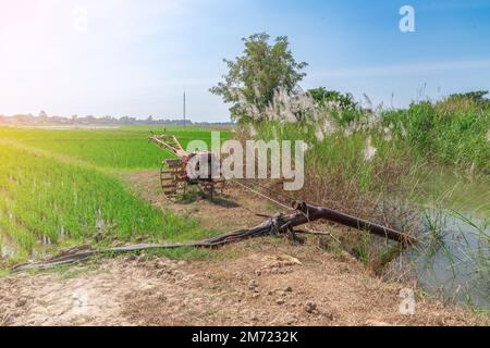 Irrigation of rice fields using pump wells with the technique of ...