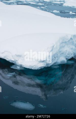 Large Icebergs float in the still water in Antarctica, with blue ...