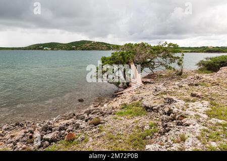 Wide angle view of the St. Joris Bay on the caribbean island Curacao ...
