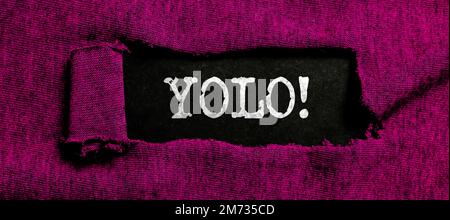 Writing displaying text Yolo, Word Written on stand for You only live ...