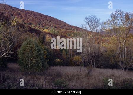 Grassy steppes in the mountains in autumn Stock Photo - Alamy