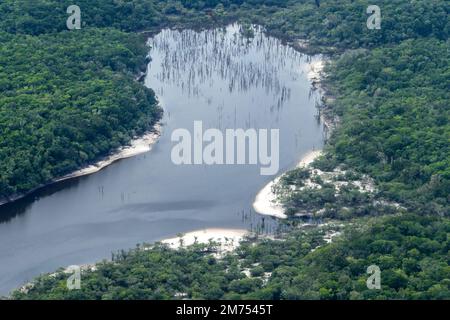02 January 2023, Brazil, Manaus: A river flows through the Amazon ...