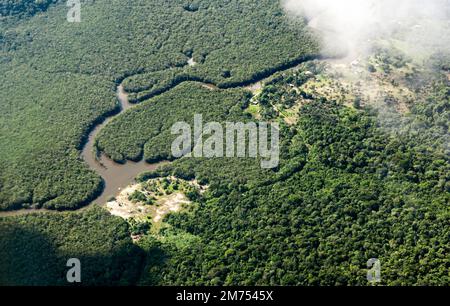 02 January 2023, Brazil, Manaus: A river flows through the Amazon ...