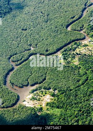 02 January 2023, Brazil, Manaus: A river flows through the Amazon ...