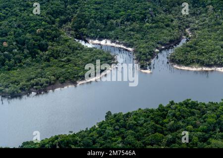02 January 2023, Brazil, Manaus: A river flows through the Amazon ...