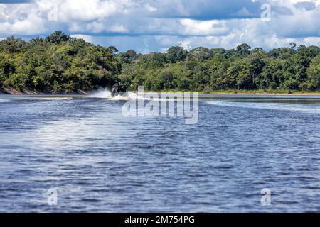 02 January 2023, Brazil, Manaus: A river meanders through the Amazon ...