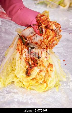 Close-up of hands making kimchi Stock Photo - Alamy