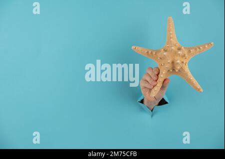 A hand with a starfish sticking out of a hole in a blue cardboard ...