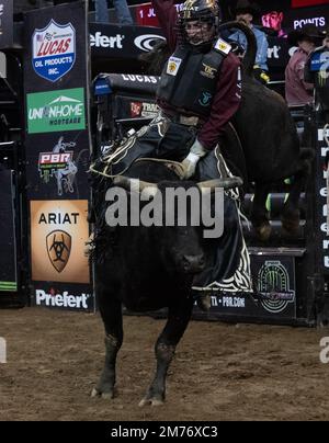 Professional Bull Rider rides Daniel Keeping bull Outlaw during PBR ...