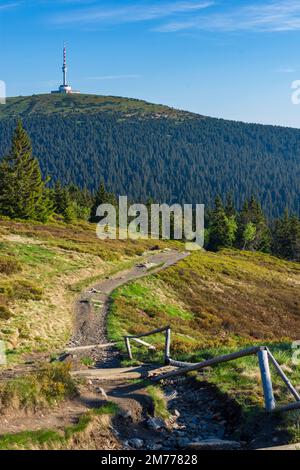 Hruby Jesenik (Altvatergebirge, High Ash Mountains): mountain Praded ...