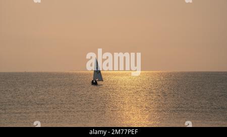 Windsurfing at sunset beatiful golden Sea horizon view. Golden Sea at ...