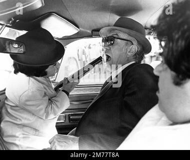 THE GANG THAT COULDN'T SHOOT STRAIGHT, Irving Selbst, 1971 Stock Photo ...