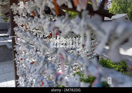 A fortune telling slip at Tomioka Shrine closeup Stock Photo - Alamy