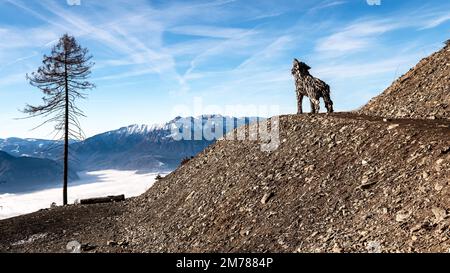 Lupa Vaia (Vaia Wolf). Wood sculpture with reclaimed wood from the Vaia ...