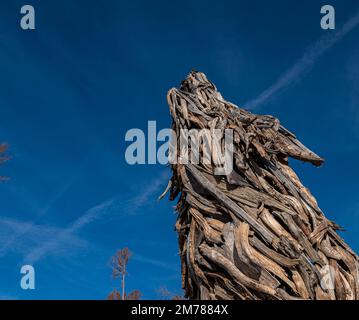 Lupa Vaia (Vaia Wolf). Wood sculpture with reclaimed wood from the Vaia ...