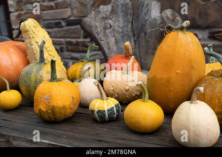 A colorful arrangement of gourds in the village of Rabanal del Camino ...