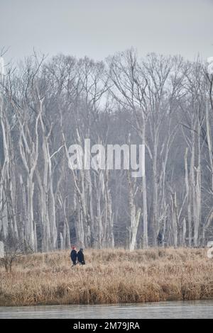 Federally Protected Marsh Land Stock Photo - Alamy