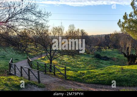 Paths in the park in El Escorial at dawn Stock Photo - Alamy