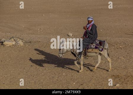 SAQQARA, EGYPT - JANUARY 31, 2019: Djoser (Zoser) hypostyle hall in ...