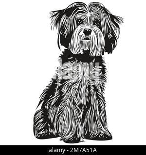 Havanese dog hand drawn vector line art drawing black and white logo ...