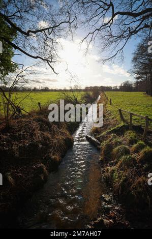 A stream of rain water flows across a ploughed field after torrential ...