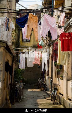 Shanghai,Toronto Celebrity Culture Street Stock Photo - Alamy