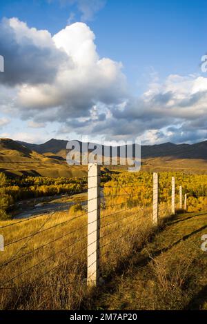 Altay Xinjiang,White Haba Stock Photo - Alamy