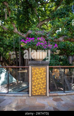 International Market Place, Waikiki, Honolulu, Oahu, Hawaii Stock Photo ...