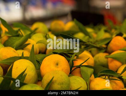 A closeup shot of a numerous different citrus fruits in the supermarket ...