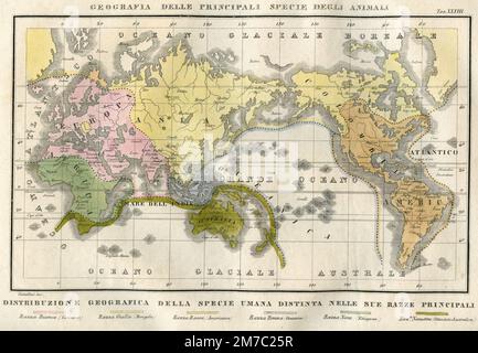 Map of human races Stock Photo - Alamy
