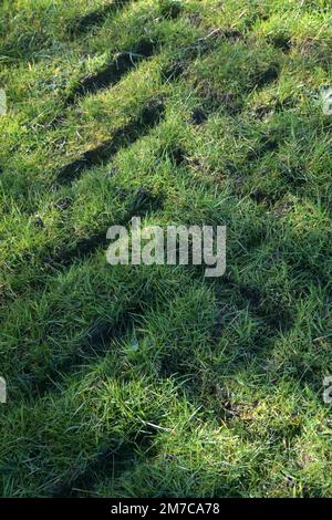 Tire tracks of tractor on grass in farm Stock Photo - Alamy